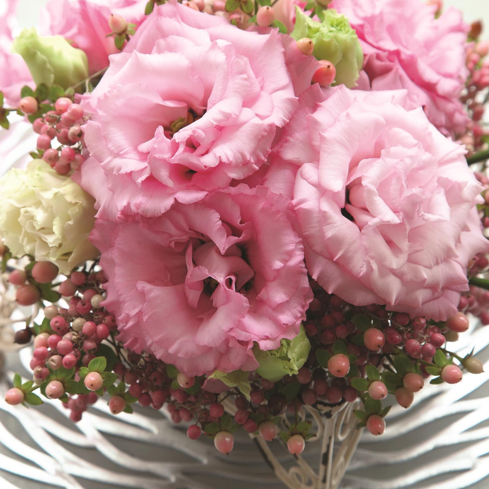 LISIANTHUS CORELLI SERIES – Flora Norton LLC