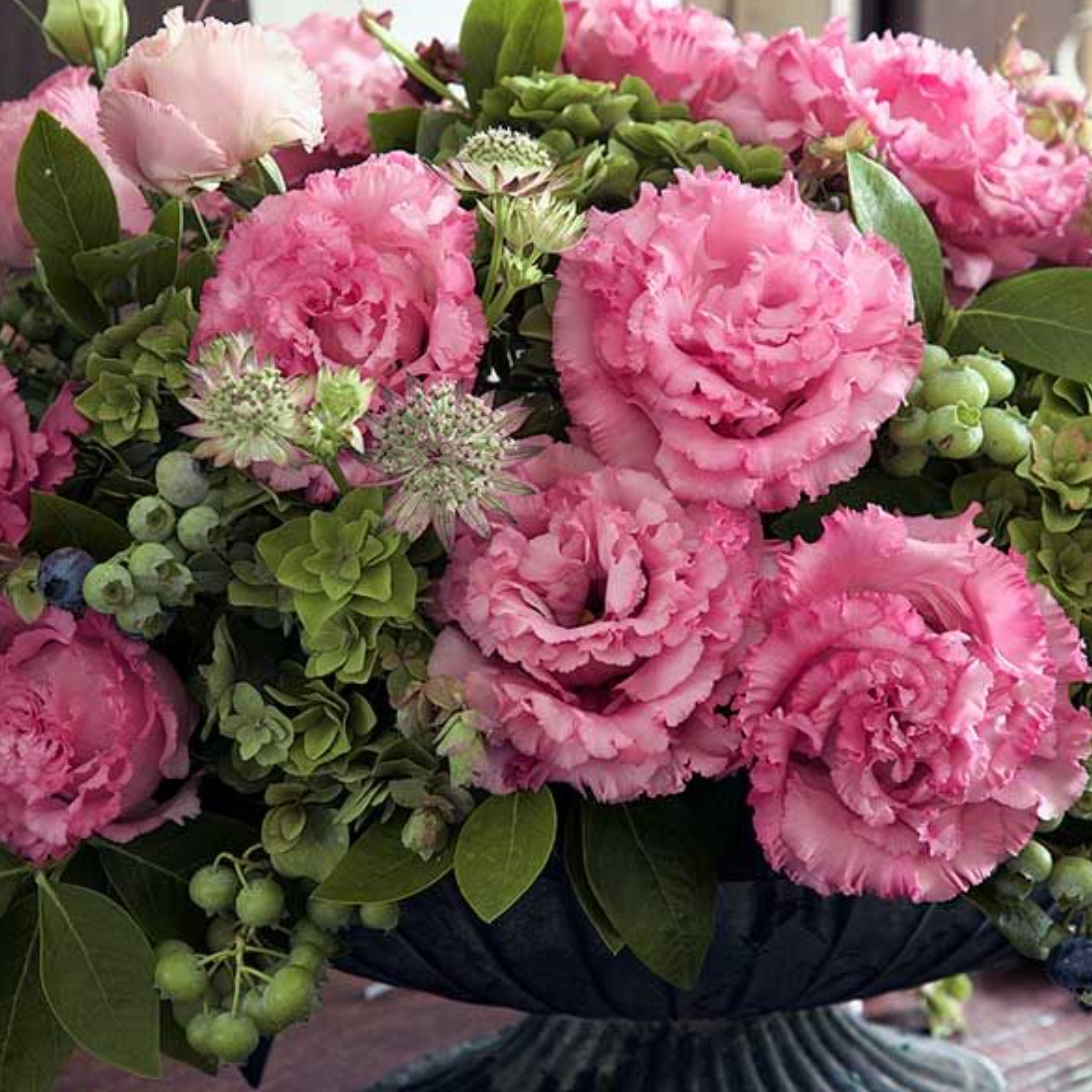 LISIANTHUS CORELLI SUGOI SERIES – Flora Norton LLC